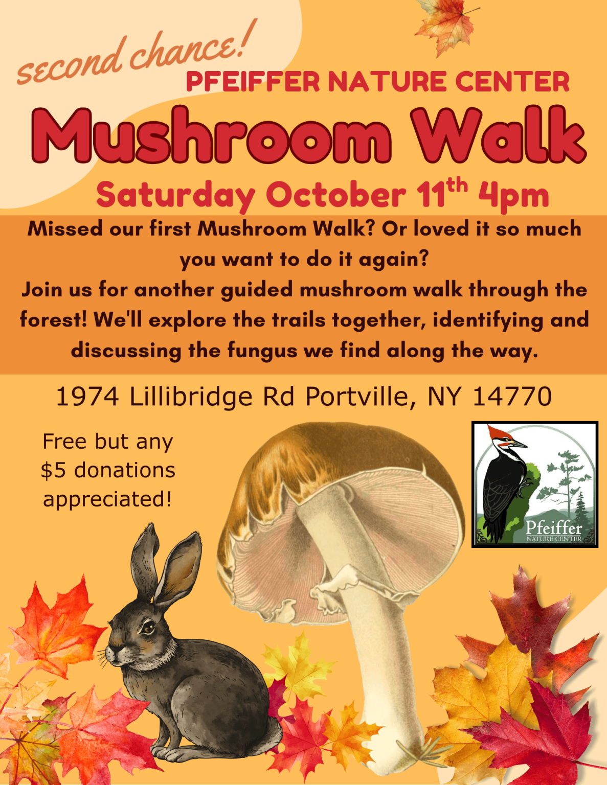 Mushroom Walk – Pfeiffer Nature Center